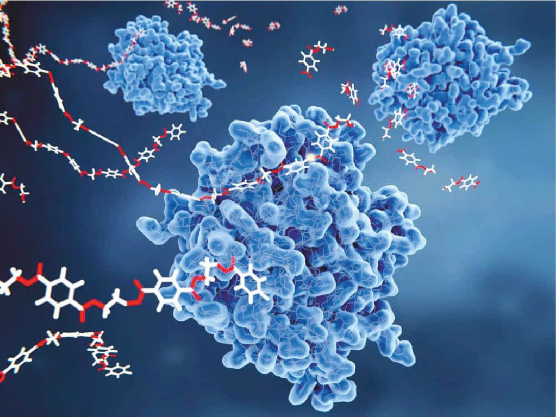 Leave a Reply Cancel reply